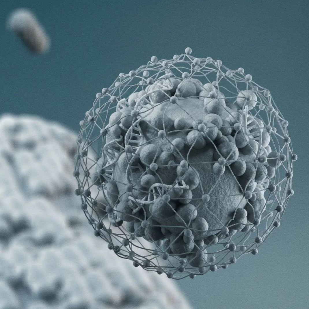 Exo Booster | Dermalogica CA